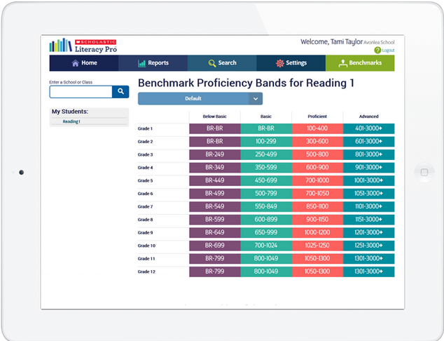 Lit Pro - Assessment for Reader