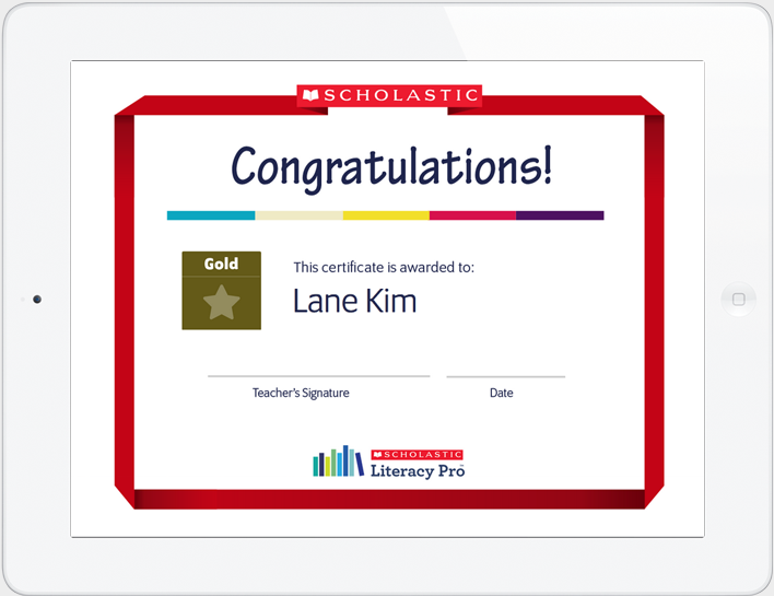 Lit Pro - Assessment for Reader